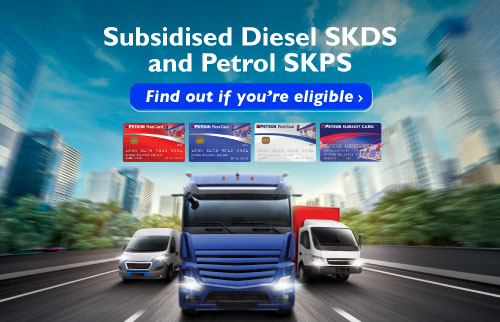 Government Subsidy